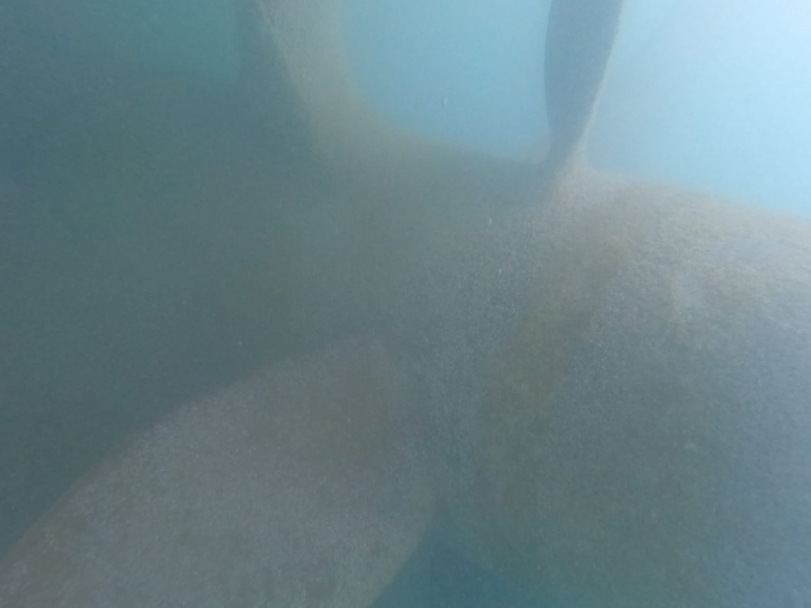 Enhancing Efficiency and Performance: Ship Propeller Cleaning ...