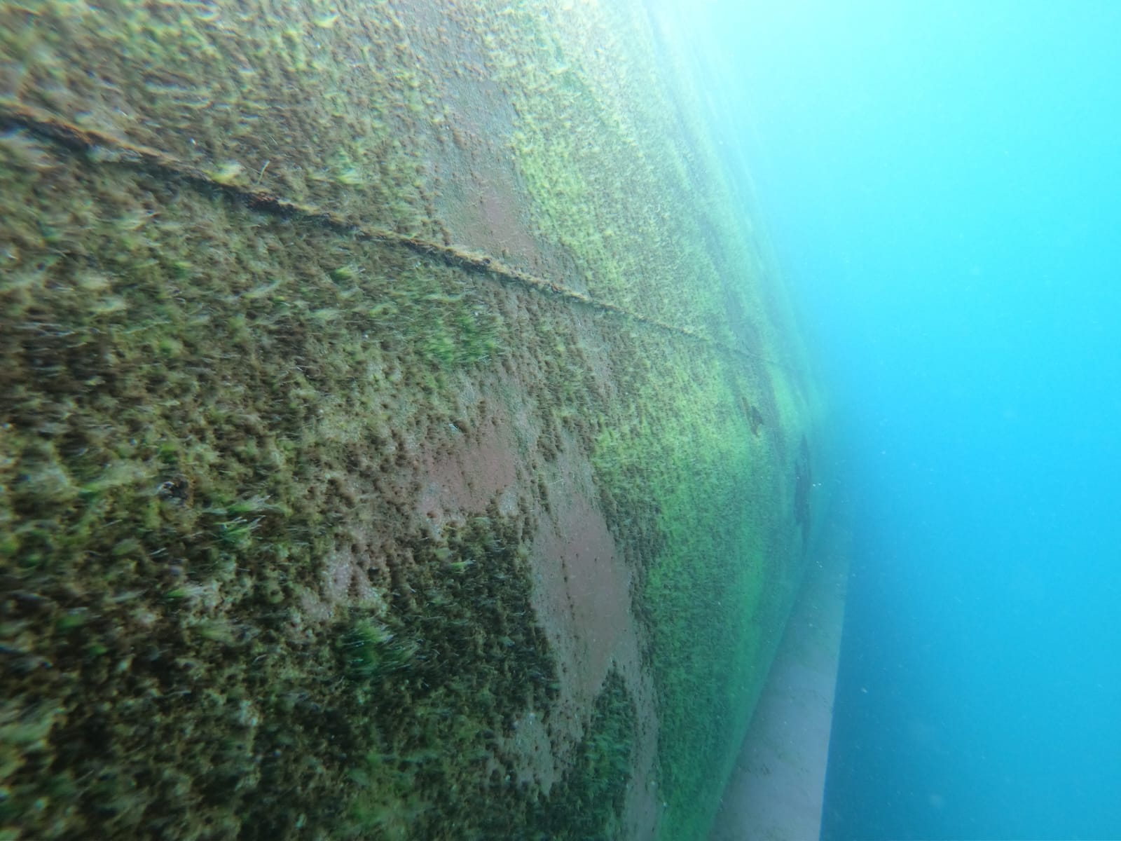 Vertical Side Cleaning: Before & After - Max Diving Services